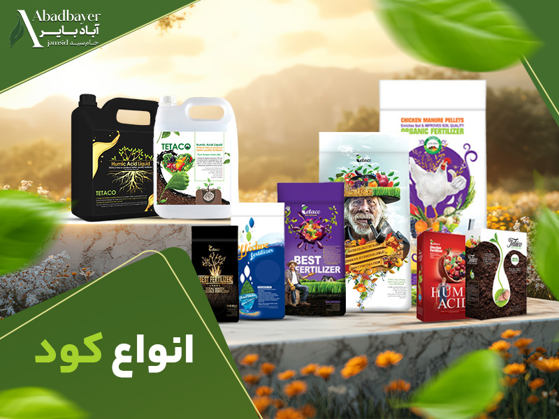 کود تخصصی حبوبات بلومر: میزان مصرف کود حبوبات، کلید افزایش تناژ، تثبیت ...